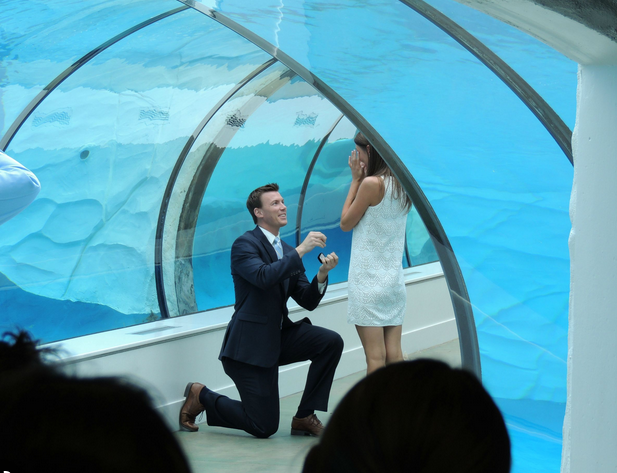 20 Great Proposal Ideas